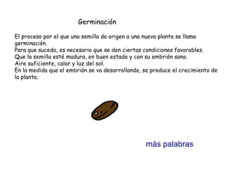 El Abc De Las Plantas | PPT