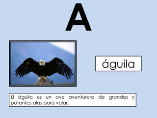 El abc de los animales 1 | PDF