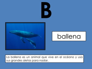 El abc de los animales 1 | PDF