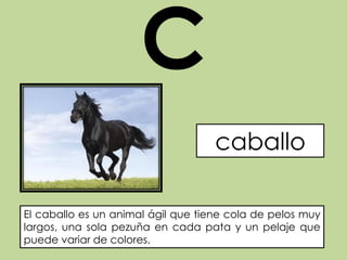 El abc de los animales 1 | PDF