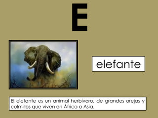 El abc de los animales 1 | PDF