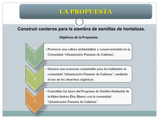 Elaboración de canteros para la siembra de semillas de hortalizas en la ...
