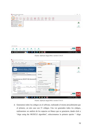 ELABORACIÓN DE DENDROGRAMAS A PARTIR DE ARTÍCULOS CIENTÍFICOS ...