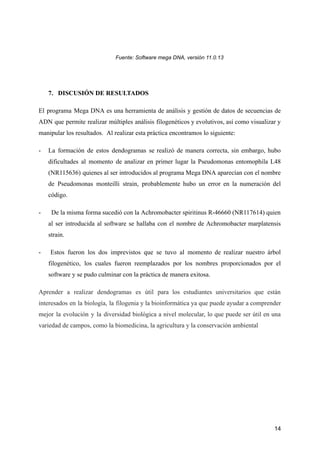 ELABORACIÓN DE DENDROGRAMAS A PARTIR DE ARTÍCULOS CIENTÍFICOS ...