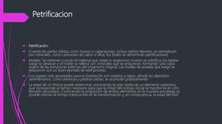 Elaboración de fósiles por inclusión, petrificación, | PPTX
