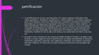 Elaboración de fósiles por inclusión, petrificación, | PPTX