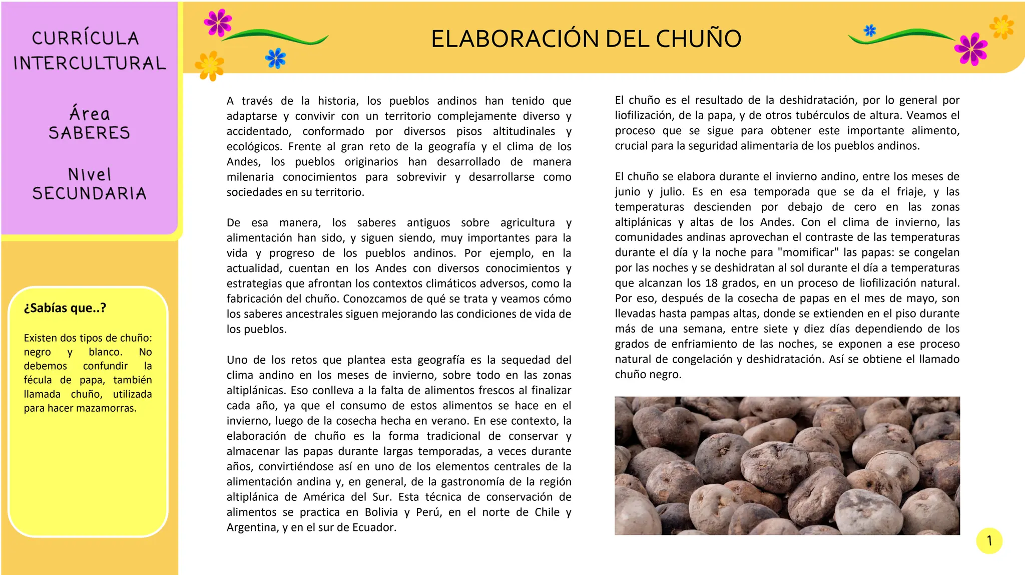 ELABORACIÓN DEL CHUÑO Existen dos tipos de chuño Negro y blanco. | PDF