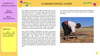 ELABORACIÓN DEL CHUÑO Existen dos tipos de chuño Negro y blanco. | PDF