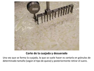 Elaboración de queso | PPTX