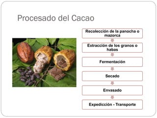 Elaboracion de chocolate | PDF