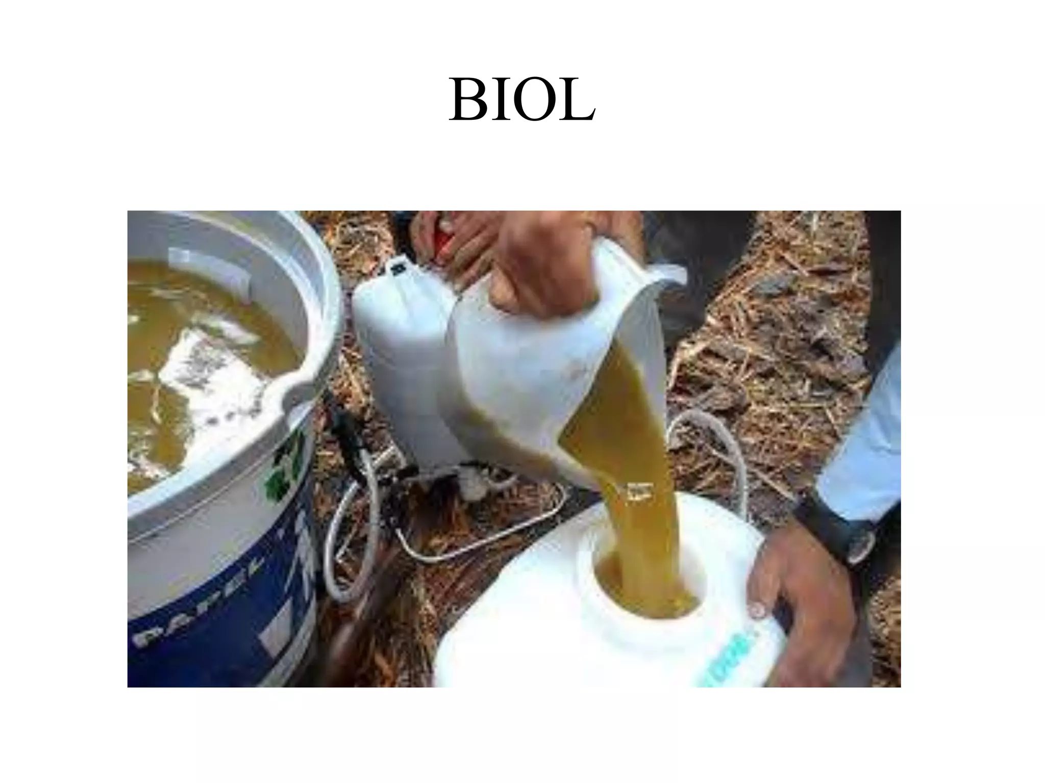 ELABORACION DEL BIOL.pptx