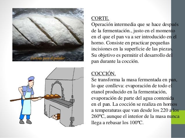 Elaboracion del pan[1][1]
