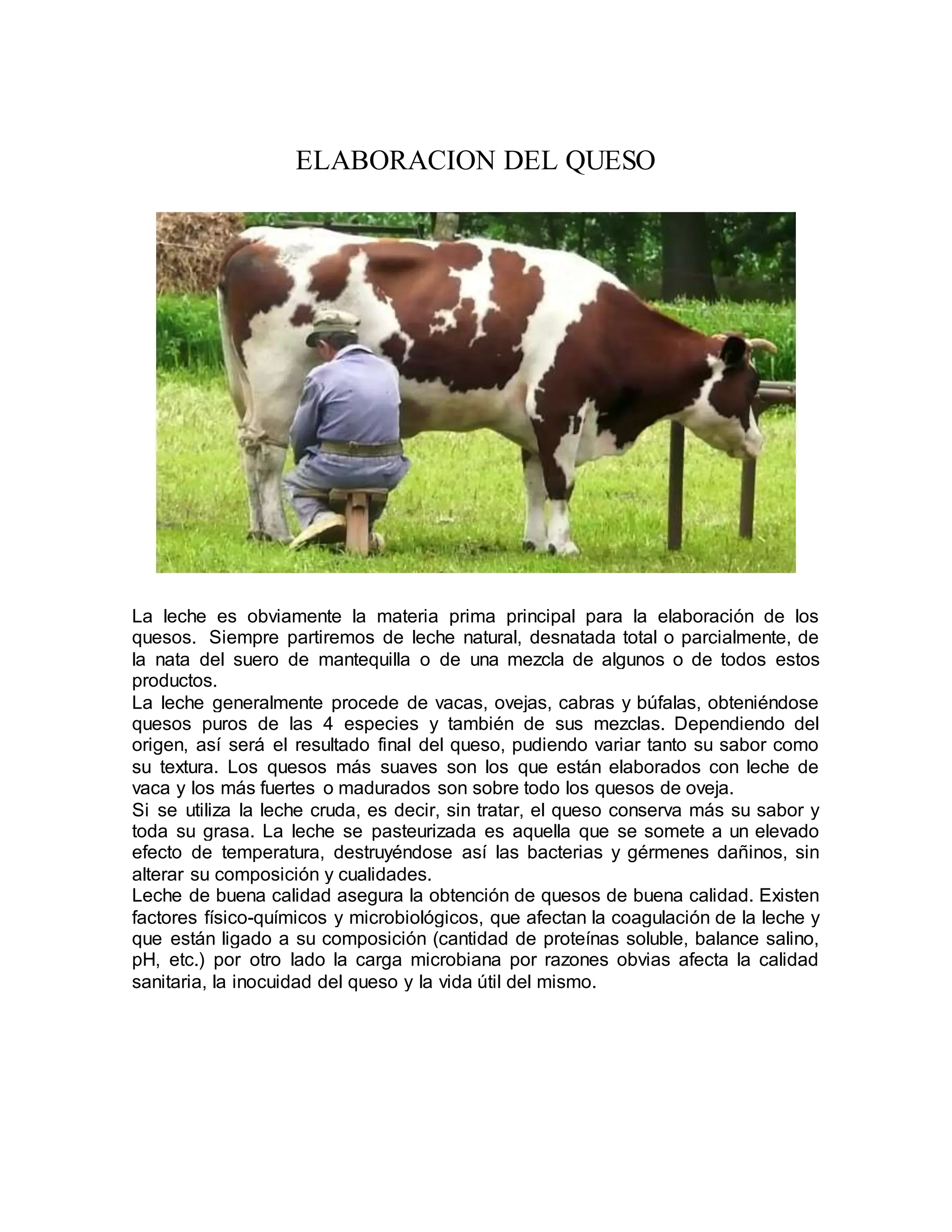Elaboracion del queso | DOCX
