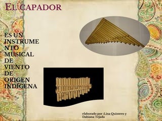 INSTRUMENTOS MUSICALES DE COLOMBIA | PDF