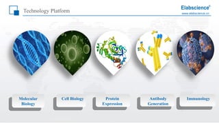 Elabscience Biotechnology Company Introduction | PPT