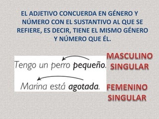 El adjetivo y sus clases | PPTX