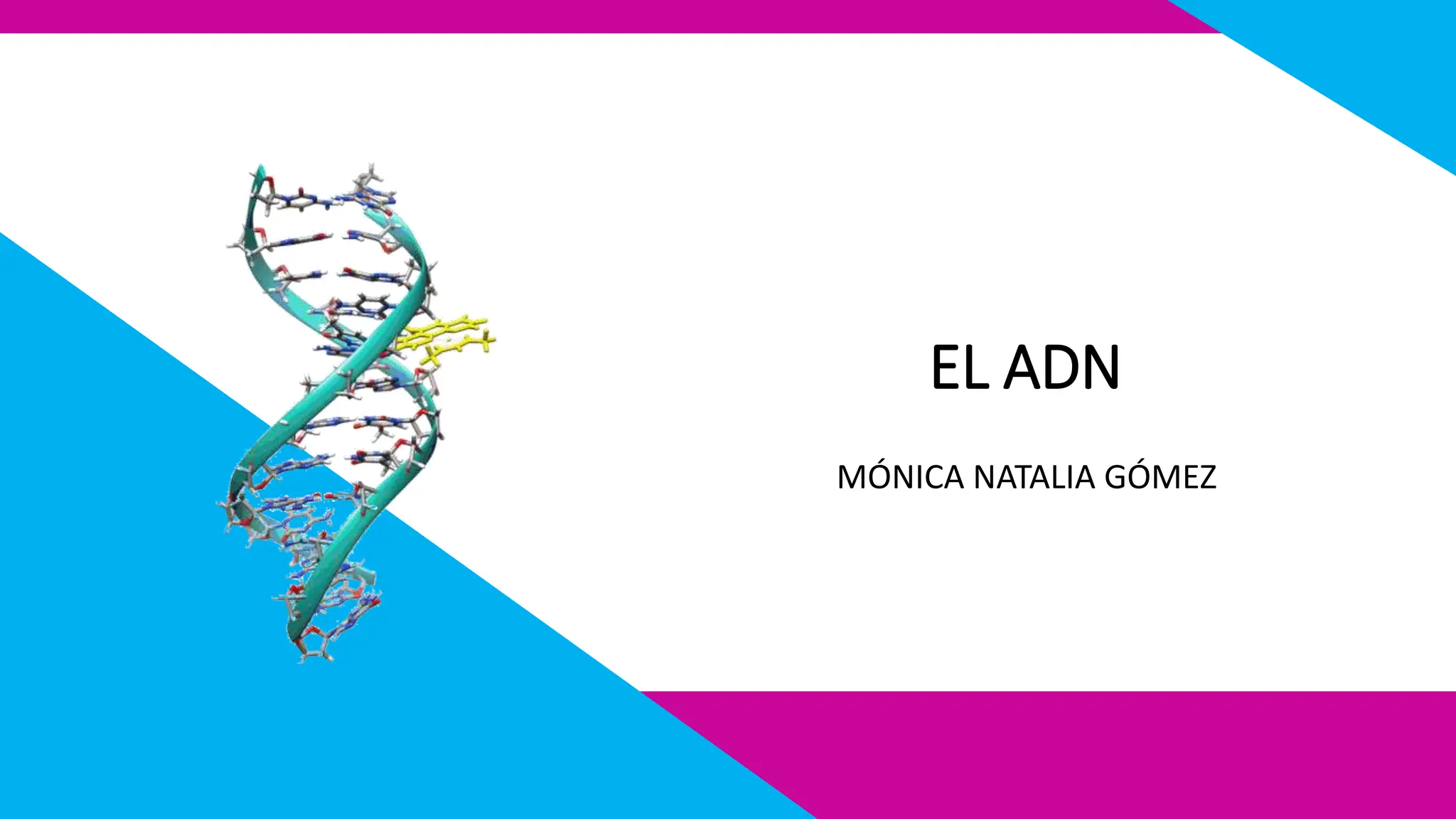 EL ADN, El ARN, cromosoma, proteínas, núcleo | PPT