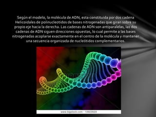 El ADN, Bloque 2 | PPTX