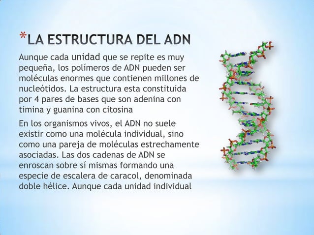 El adn y el arn. | PPT