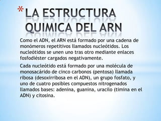 El adn y el arn. | PPTX