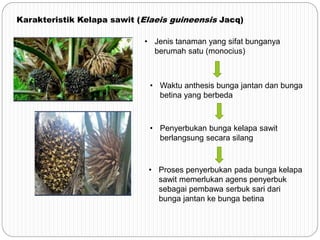 Elaeidobius kamerunicus sebagai polinator tanaman kelapa sawit | PPTX