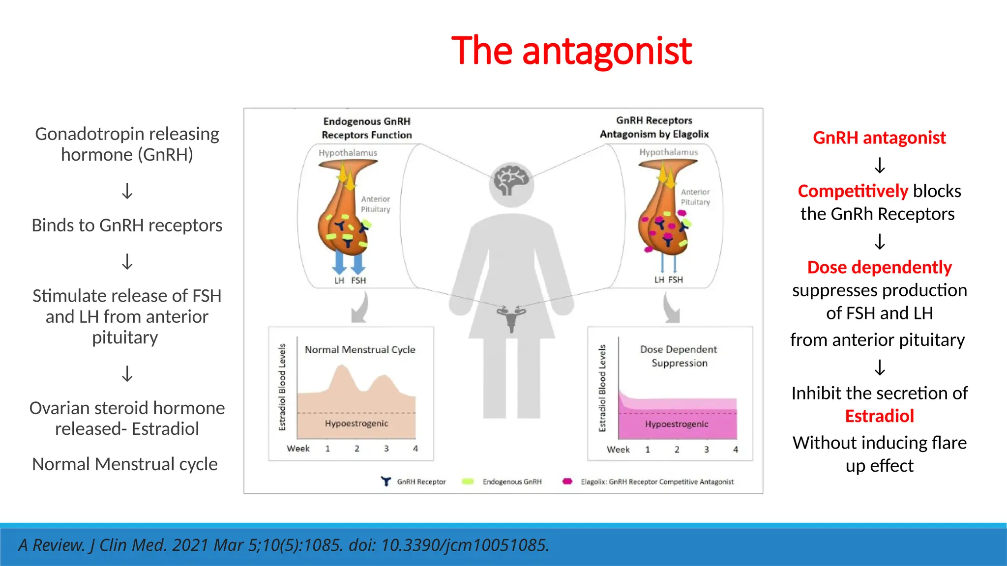ELAGOLIX- role in endometriosis - effective medical management | PPTX