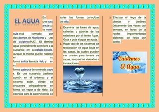 El agua. folleto erick 6 a | DOCX