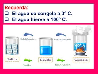 El agua | PPTX