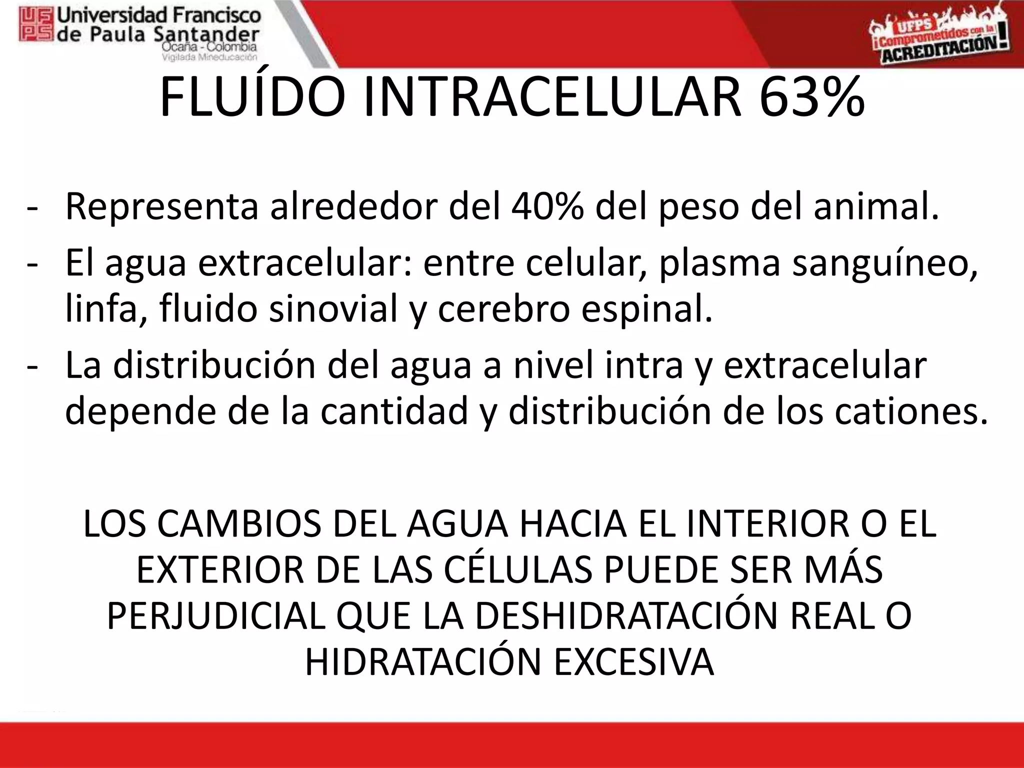 EL AGUA COMO NUTRIENTE.pptx