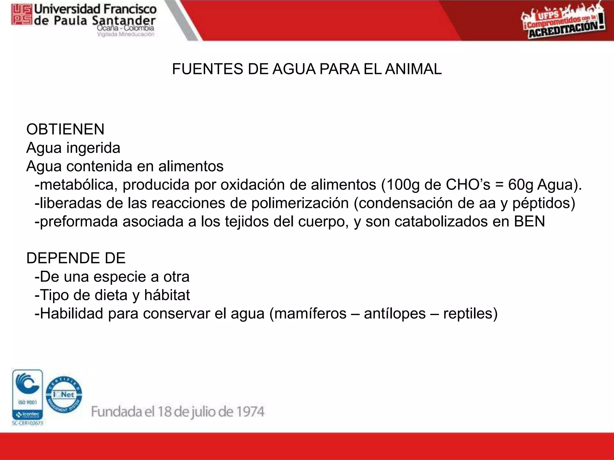EL AGUA COMO NUTRIENTE.pptx