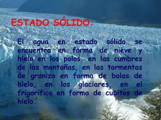 El agua en la naturaleza | PPT