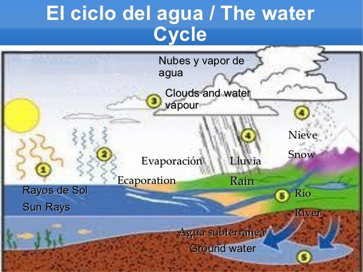 El agua y su ciclo