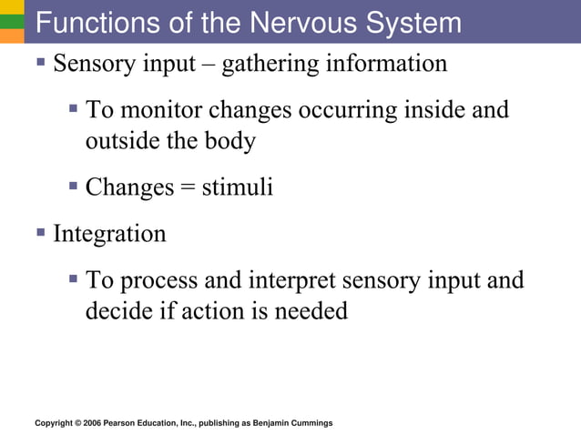 ELAINE_N_MARIEB_The_Nervous_System Anaphy | PDF