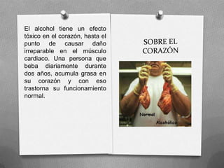 El alcohol en nuestro organismo | PPTX