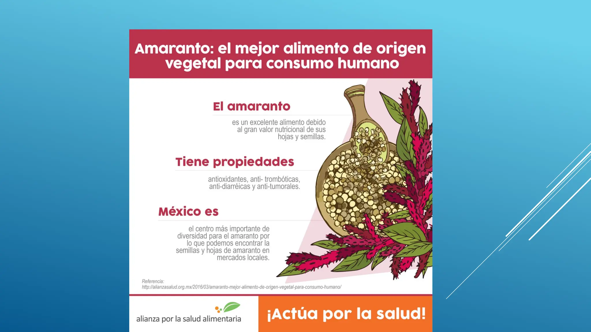 el amaranto, sus usos y sus efectos secundarios.pptx