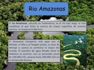 El Amazonas | PPTX