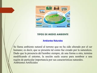 El ambiente | PPTX