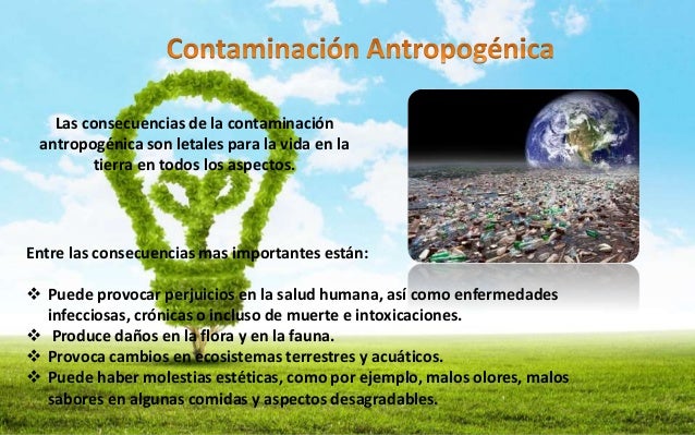 El ambiente, su estructura dinamica y contaminacion antropogenica