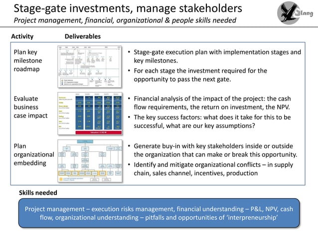 Elang Strategic Programme Management | PPT