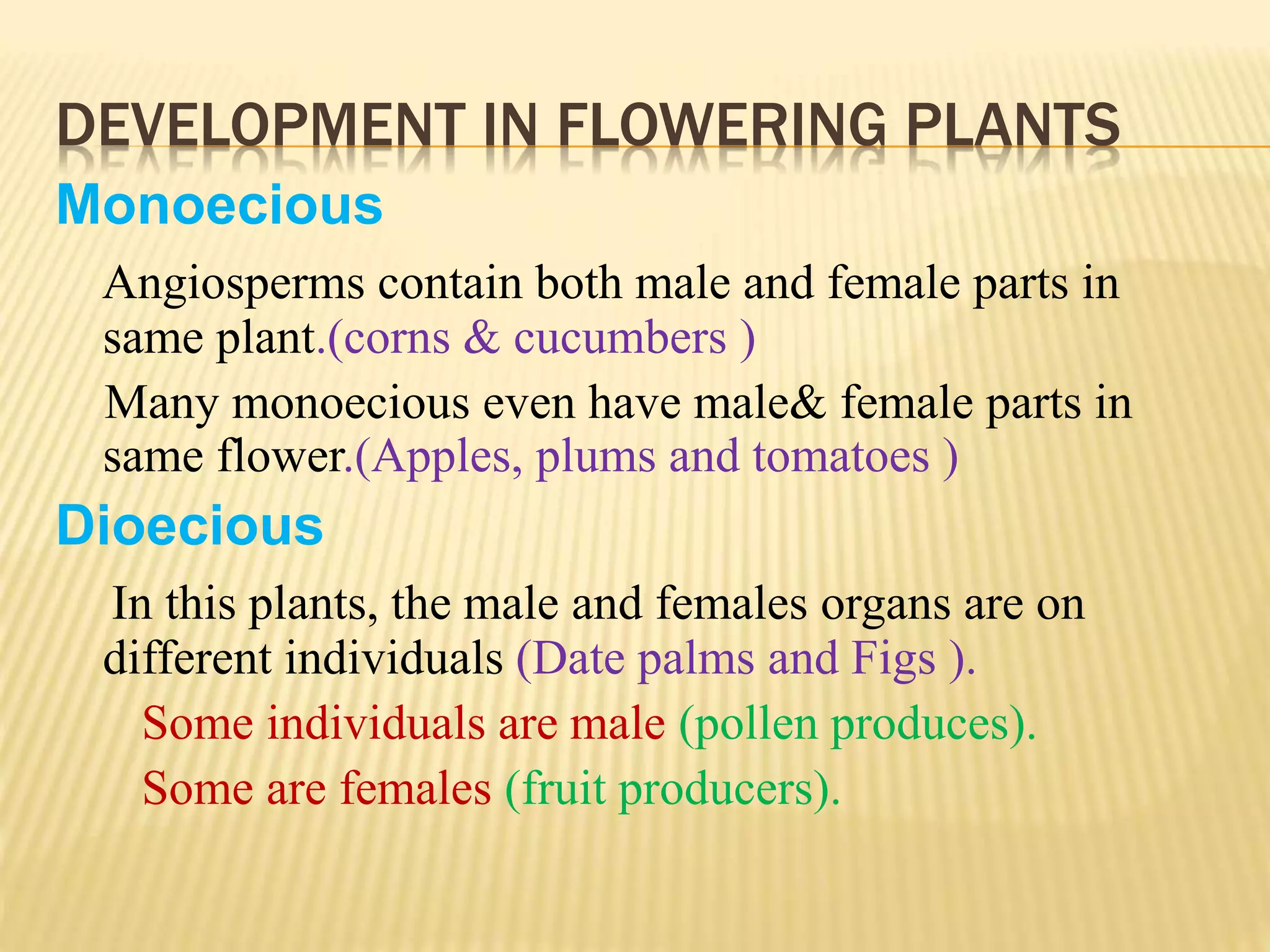 DEVELOPMENTAL PATTERNS IN FLOWERING PLANTS | PPTX