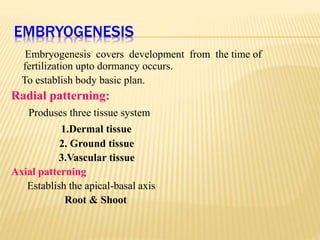 DEVELOPMENTAL PATTERNS IN FLOWERING PLANTS | PPTX