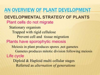 DEVELOPMENTAL PATTERNS IN FLOWERING PLANTS | PPTX