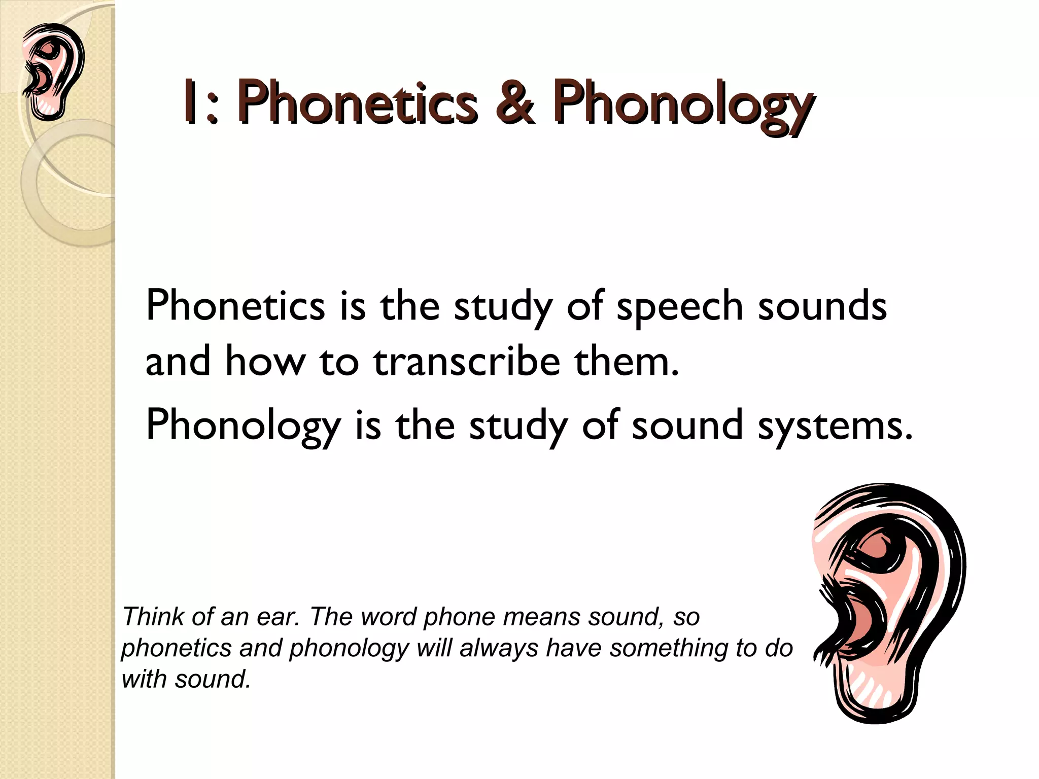 L1 - Introduction to English Language | PPT