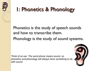 L1 - Introduction to English Language | PPT