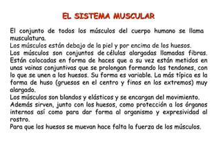 El aparato locomotor | PPT