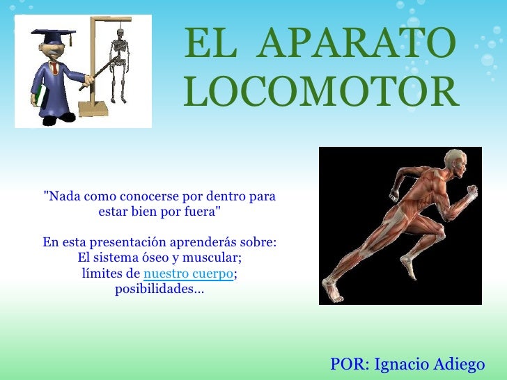 Conociendo El Sistema Locomotor Humano
