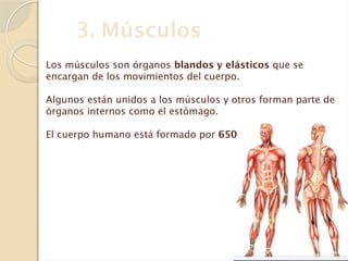 EL APARATO LOCOMOTOR 4° BÁSICO UNIDAD.pptx