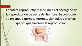 El aparato reproductor | PPTX