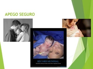 El Apego | PPTX