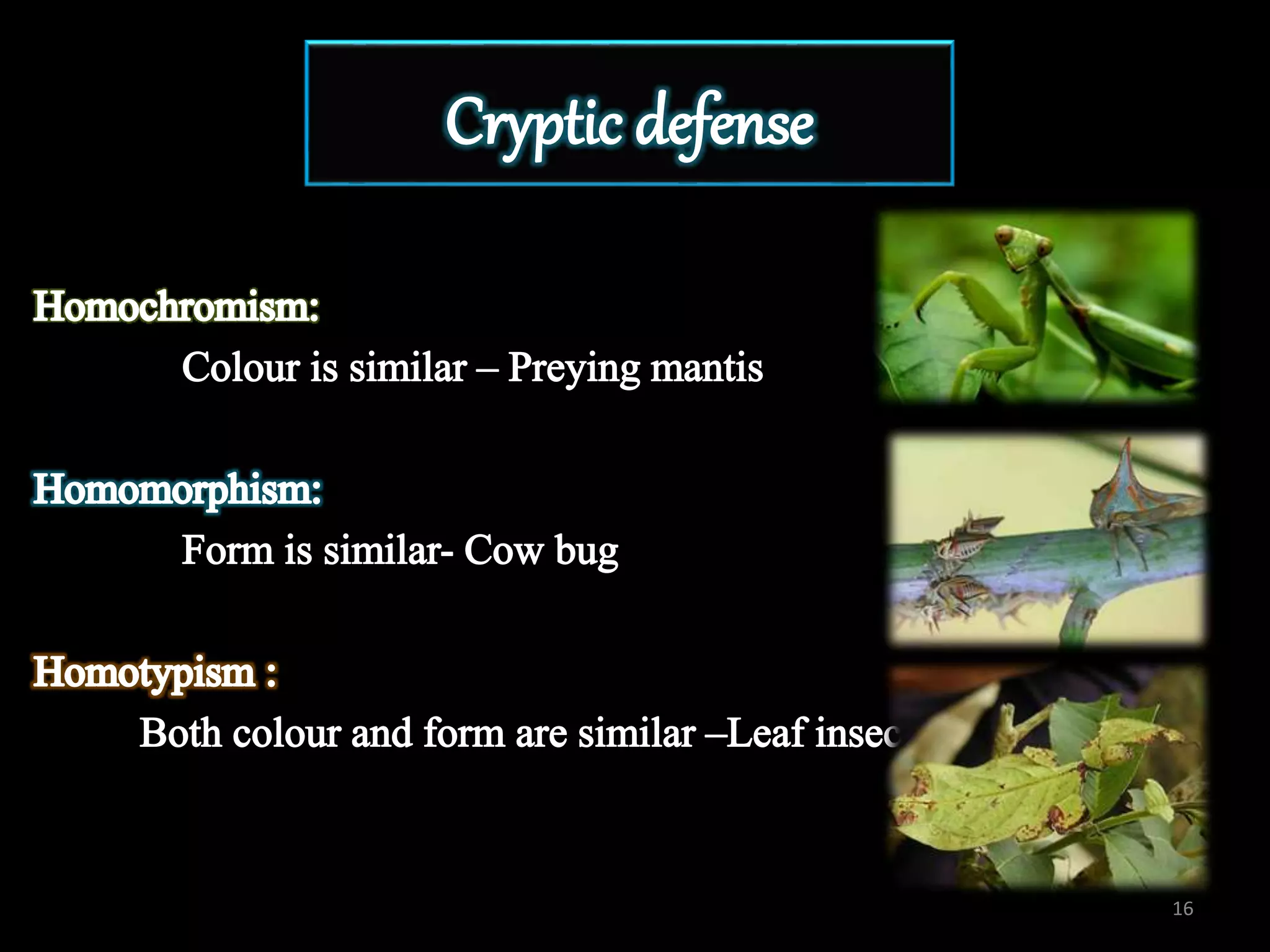 INSECT DEFENSE MECHANISM | PPTX